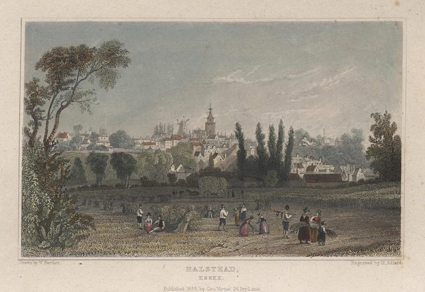 An Afflicted Family: Thomas Cardinall of Halstead and his wife Hannah ...